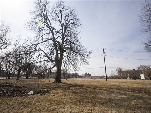 Housing advocates frustrated by city council opposition to Warren ...