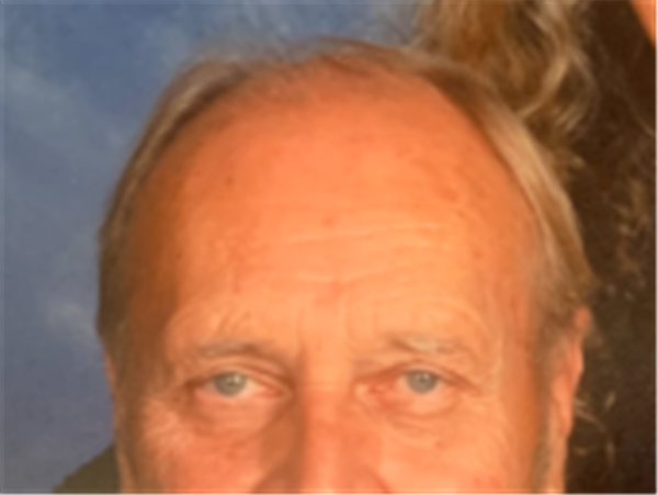 Thomas R. Hilty (1943-2021) | The Blade