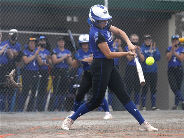 Springfield softball grabs NLL lead with win over Anthony Wayne | The Blade