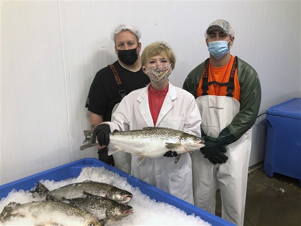 Salmon-farming project gets Ohio DNR permit to proceed | The Blade