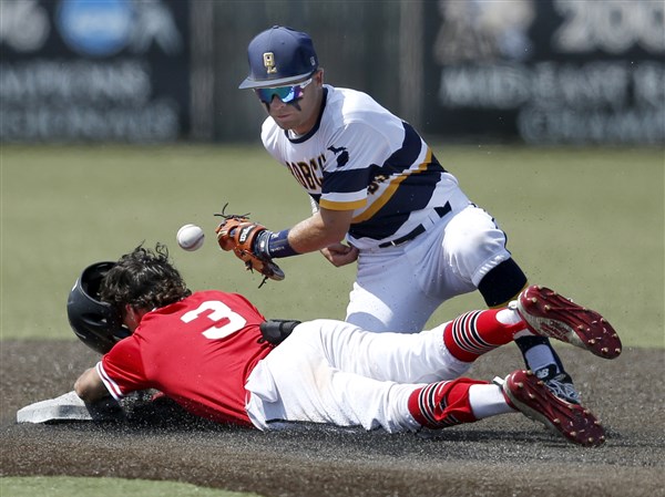 Whiteford baseball wins regional final, falls in Michigan state quarterfinal | The Blade