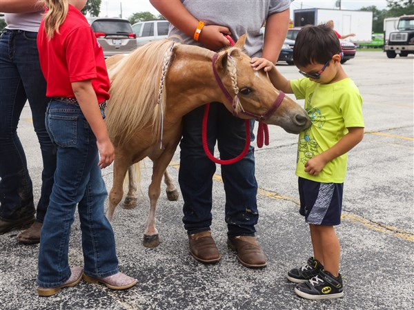 163rd annual Lucas County Fair is 'back and it's stronger' | The Blade