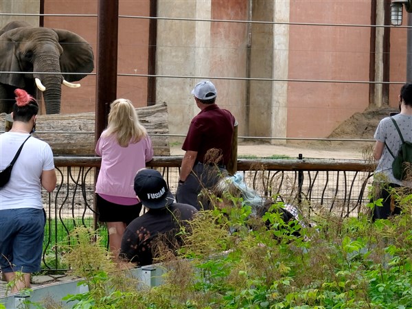 Zoo tours a chance for visitors to learn from keepers | The Blade