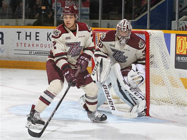 Walleye add defenseman Cole Fraser to roster | The Blade