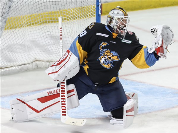Former Walleye goalie Pat Nagle picked to represent U.S. at Olympics ...