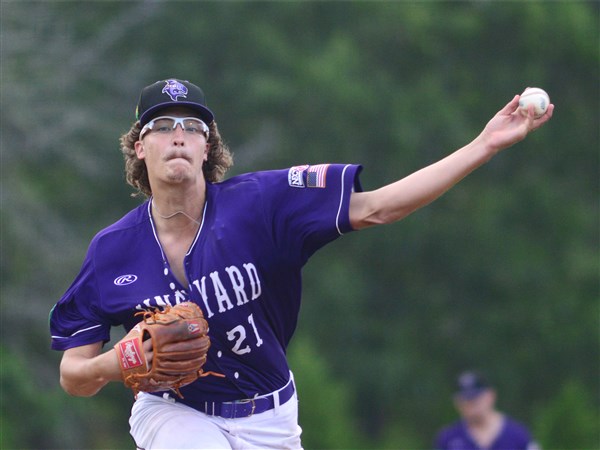 Former St. Francis pitcher Johnson thriving in summer league | The Blade
