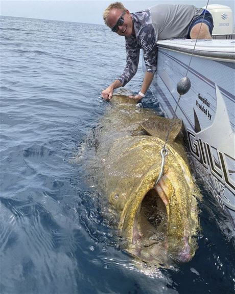 River Monsters Goliath Grouper