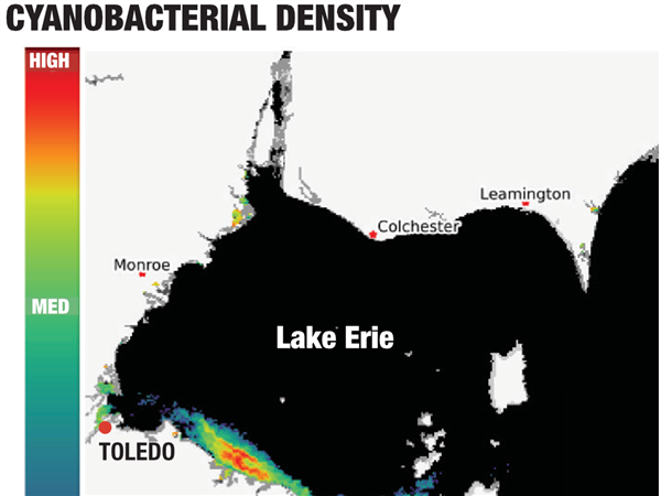 NOAA: The 2021 algal bloom is taking hold along western Lake Erie ...