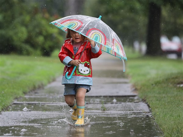 Rains cause flooding in parts of Lucas and Wood counties | The Blade