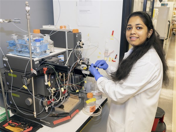 UT research plot how to keep our immune system from turning on itself ...