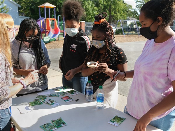 New garden to help elementary students, community grow | The Blade