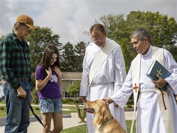 Churches host pet blessings in the spirit of St. Francis of Assisi ...