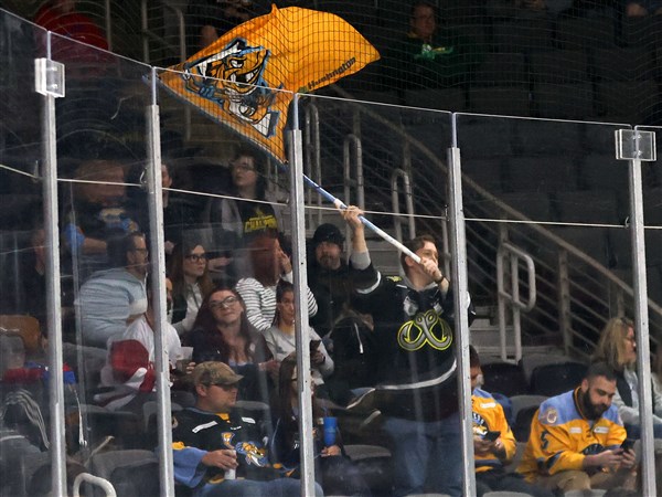 Walleye preview: 10 facts you might not know about Toledo hockey ...