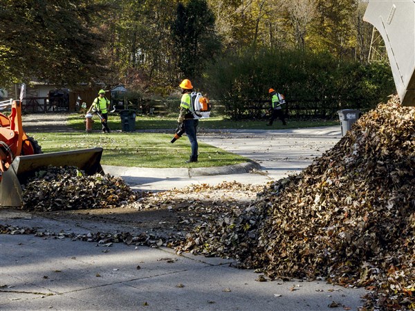 Leaf collection finally underway in Toledo | The Blade