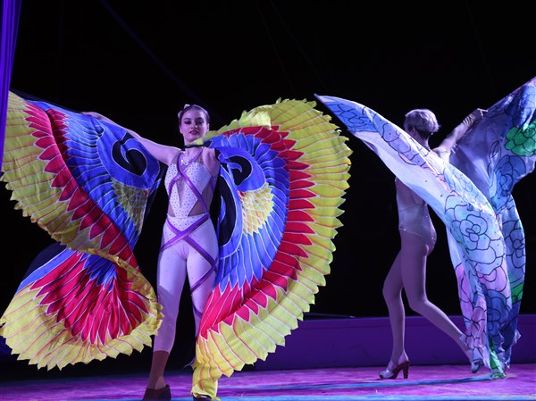 Plan It Calendar: 3/13-3/19 | The Blade