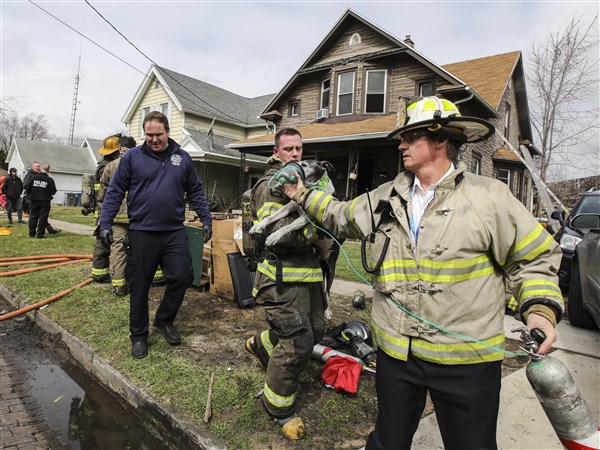 Family of 5 and 2 pets rescued from Toledo house fire | The Blade