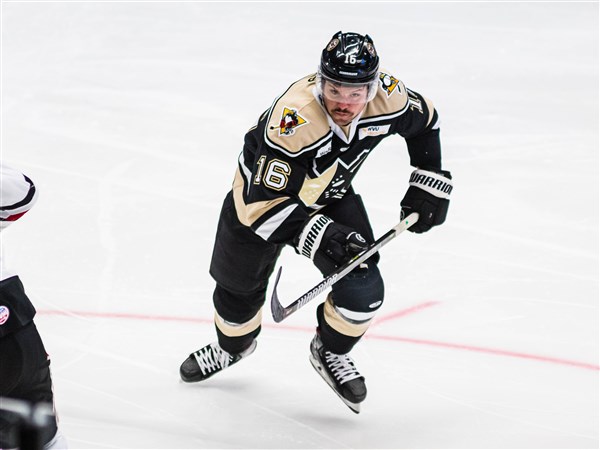 Wheeling Nailers: 5 things to know about the Walleye's next opponent ...