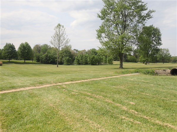 Toledo hosting community meeting about Collins Park future | The Blade