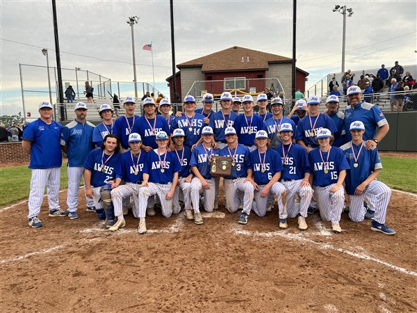 Anthony Wayne powers to 8-2 win in Division I baseball district ...