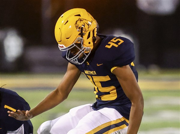 Whitmer football future looks bright with young players collecting ...