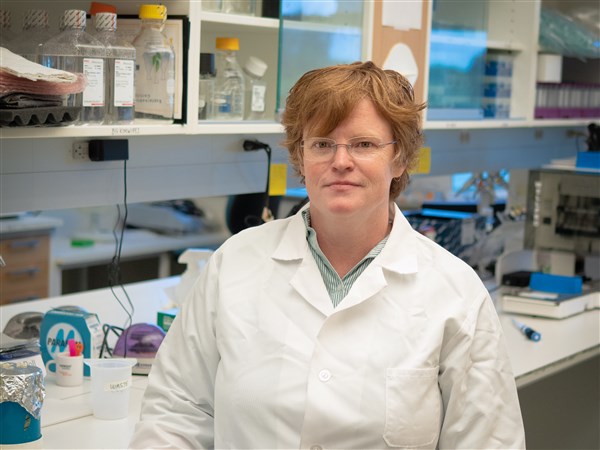 How concerned should we be about monkeypox? A UM expert explains. | The ...