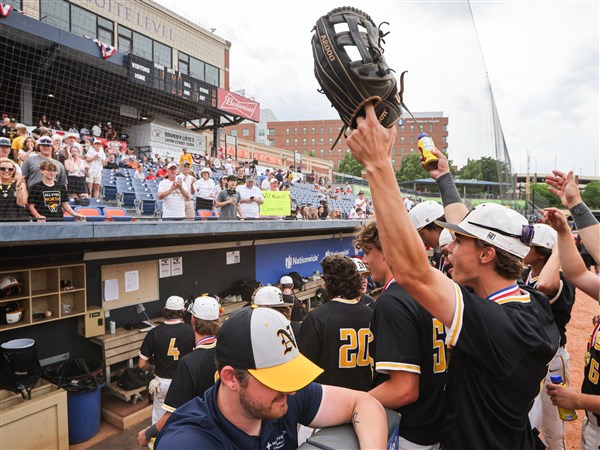 Sylvania to honor Northview baseball with parade, rally | The Blade