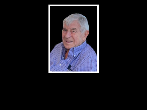 Donald E. Shamp (1937-2022) | The Blade