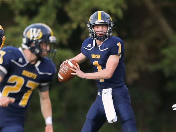 Whiteford football ranked 2nd in Michigan preseason poll | The Blade