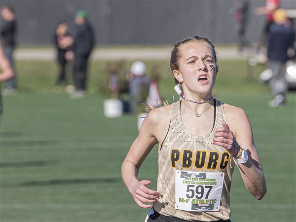 Perrysburg girls 4th, boys 5th at OHSAA Pre-Season Cross Country ...