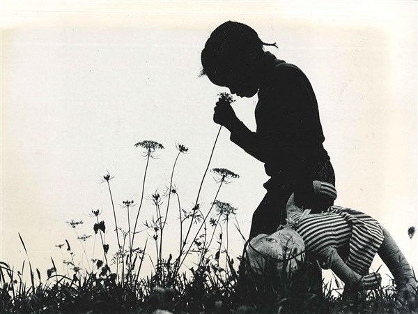 Monday Memories: Taking time to smell the fading scents of summer | The ...