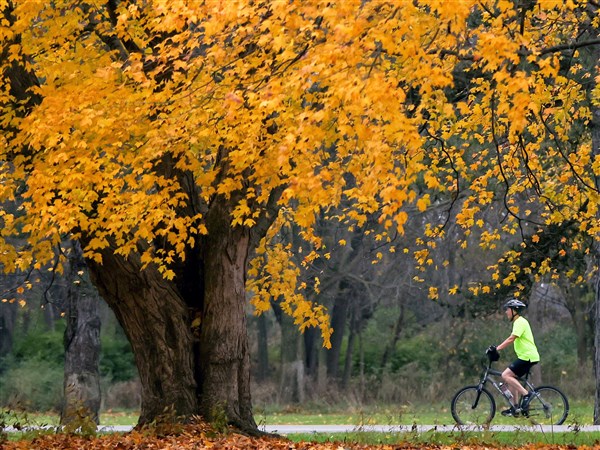 Stone: The science behind fall leaves explained | The Blade