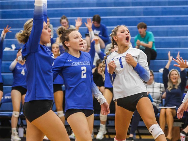 Photo Gallery: Springfield vs. Anthony Wayne volleyball | The Blade