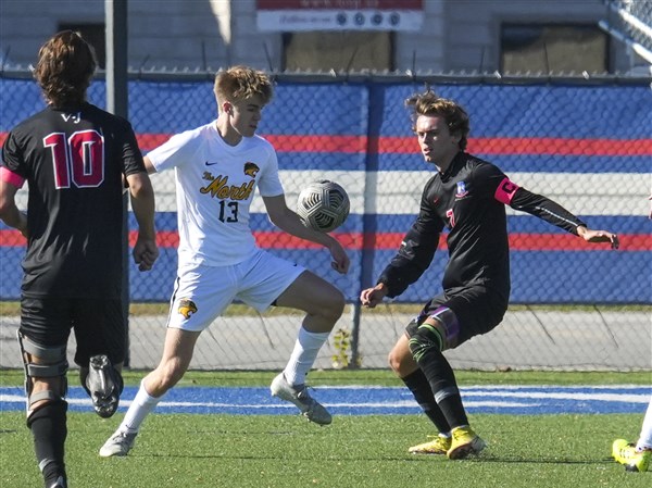 St. Francis de Sales advances to Division I boys soccer regional ...