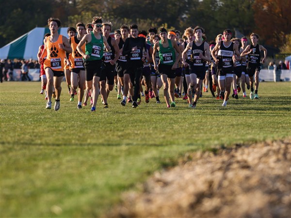 Cross country state finals: Meet the Toledo area's 2022 Division III ...