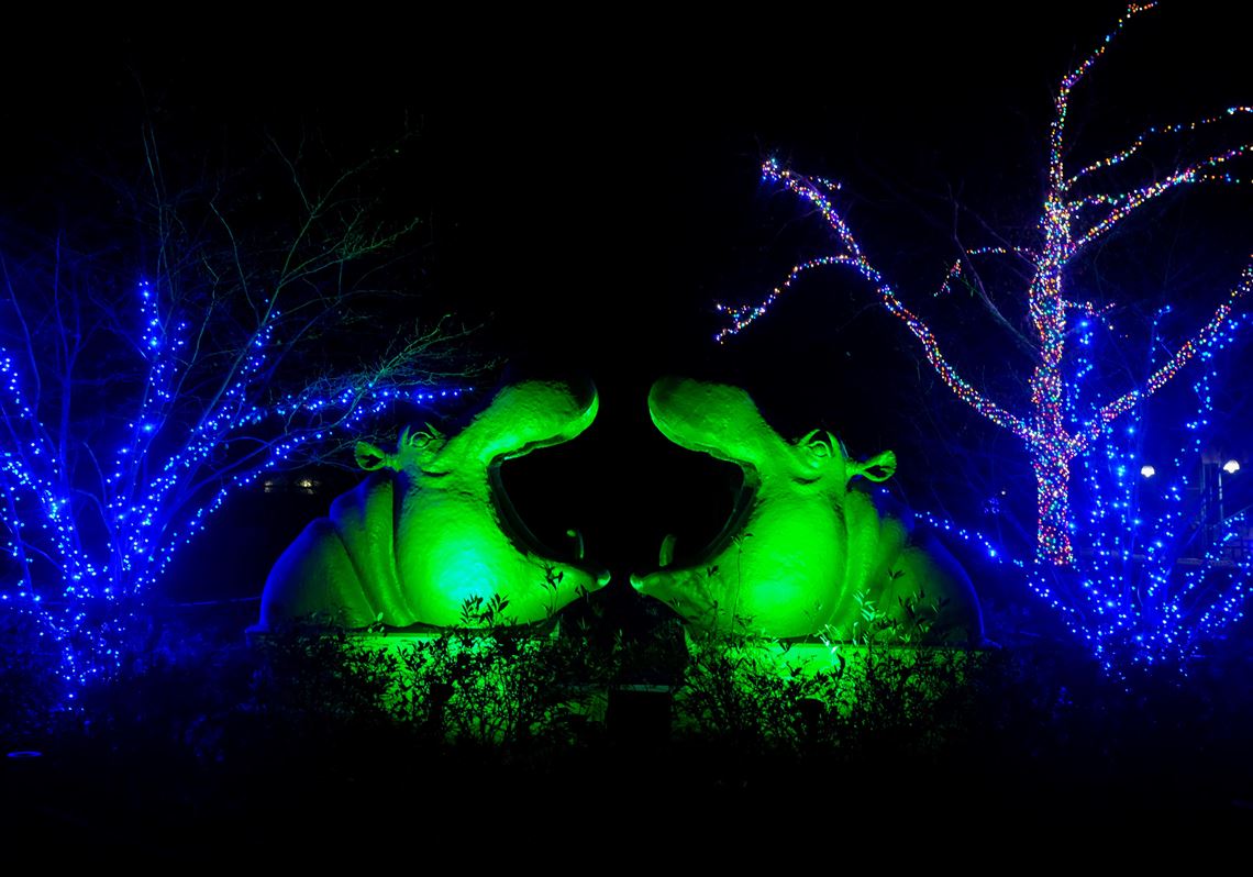 Toledo Zoo Lights