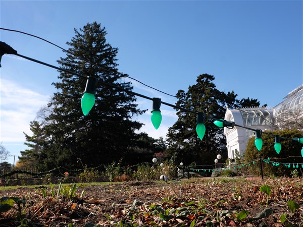 Lights Before Christmas opens at Toledo Zoo | The Blade