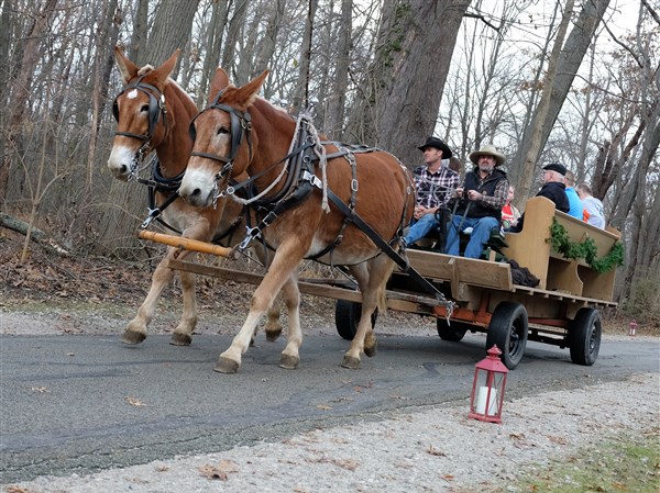 Carriage rides, holiday fun returns to Manor House after pandemic ...