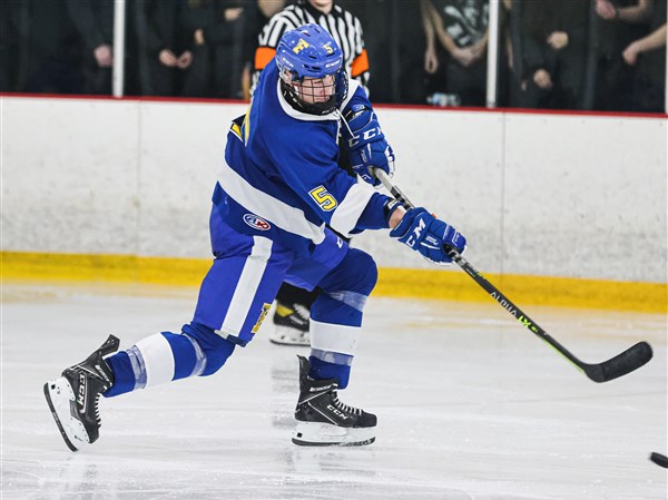 Findlay hockey off to hot start, wins BGHS tournament | The Blade