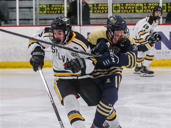 St. John's, Northview hockey battle to 1-1 tie in goaltending duel ...