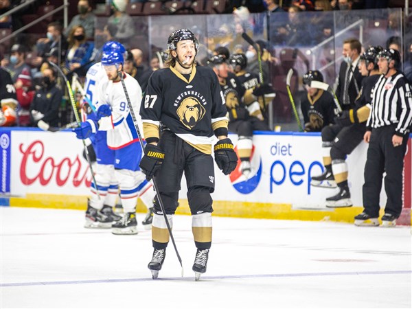 Toledo Walleye sign defenseman Riley McCourt | The Blade