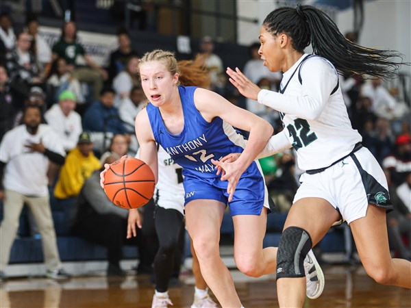 High school girls basketball: District tournament site assignments ...