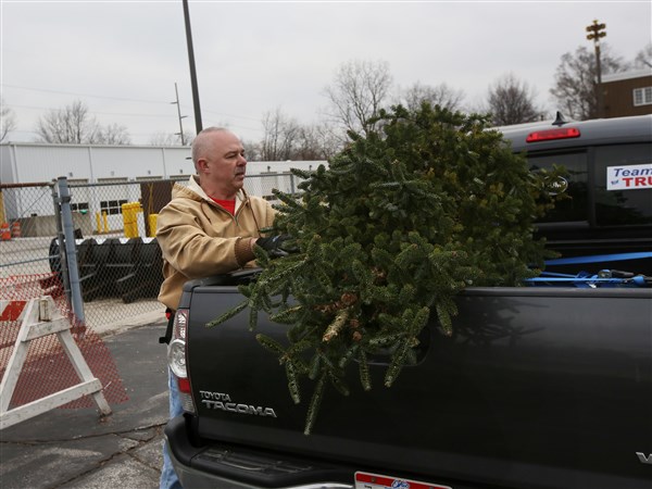 City launches free Christmas tree recycling program | The Blade