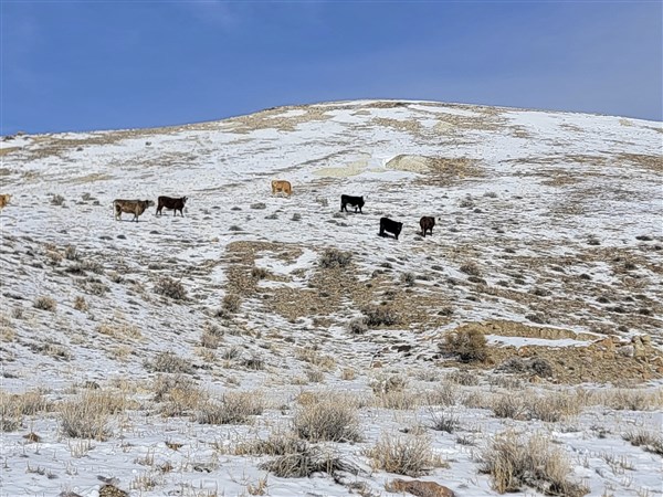 Nevada lithium mine gets conditional $700M government loan | The Blade