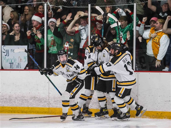 Northview clinches hockey title with 6 straight league wins | The Blade