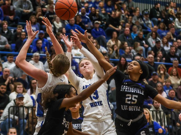 Watch: Anthony Wayne basketball teams beat Springfield on buzzer ...
