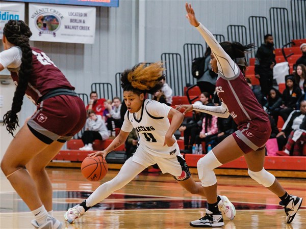 Meet the 2023 All-Blade girls basketball team | The Blade