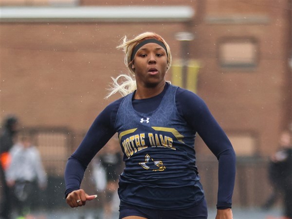 Perrysburg, Notre Dame track teams get victories at Nancy Erme Relays ...