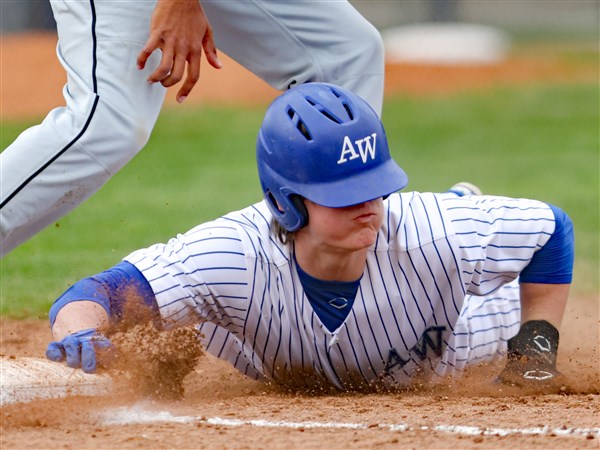 Photo Gallery: Anthony Wayne vs. Northview baseball | The Blade