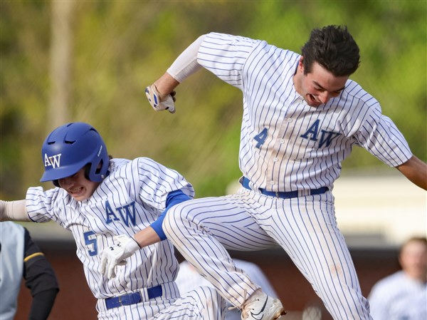 Anthony Wayne tops Northview in key NLL baseball duel | The Blade