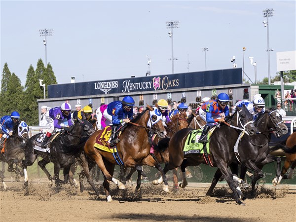 8th horse dies at Churchill Downs after suffering injury | The Blade
